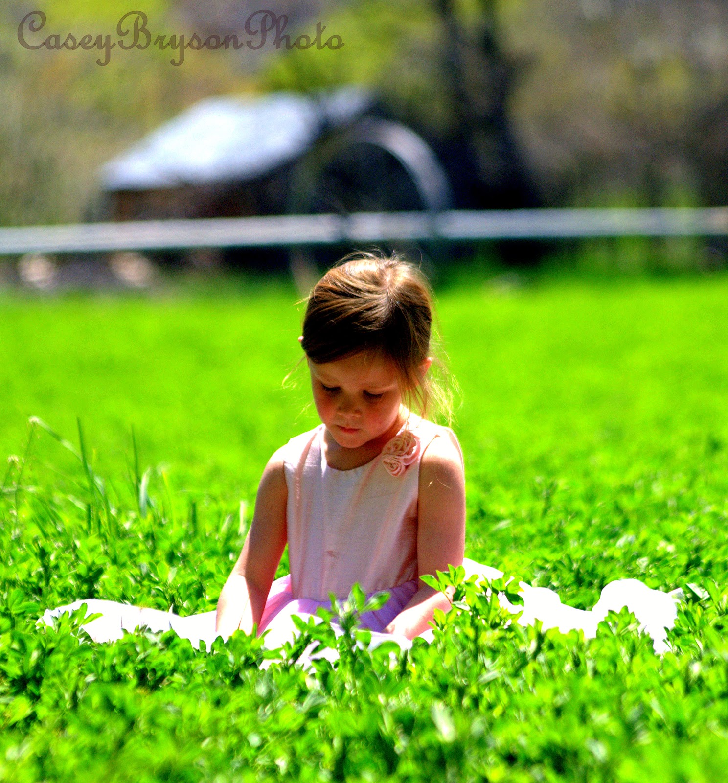 Casey Bryson Photo: My bag of tricks?