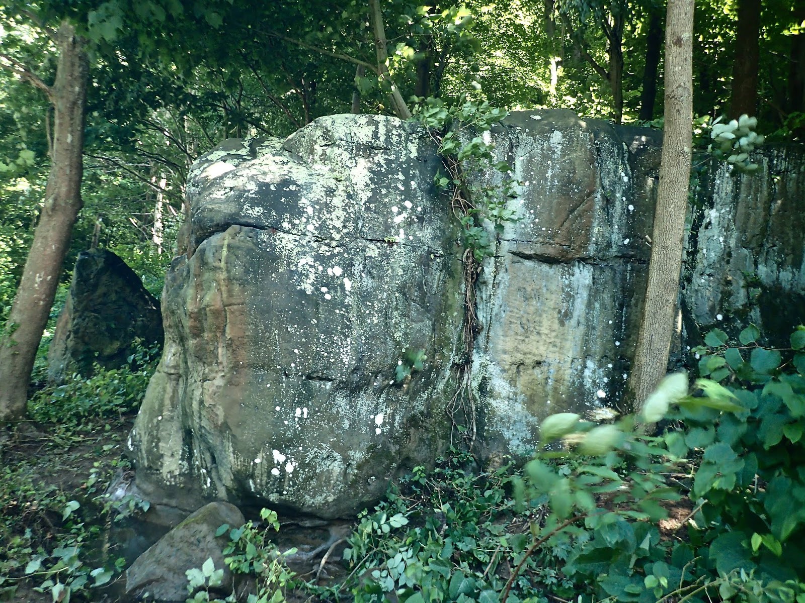 Wildfilm: Penny Rock Boulders