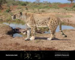 Welcome To Blog Of Alan Agil Fahmi: Kucing Kucing Raksasa Zaman Prasejarah