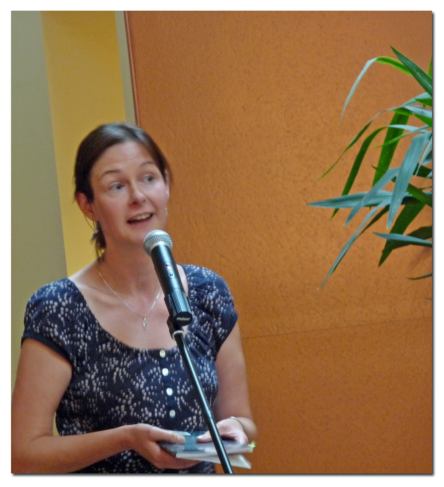 Caroline Gill: Poetry and Other Writing: Fiesta Time (10): IpArt ...