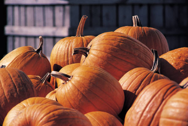 Out of the Shadows: October 2011