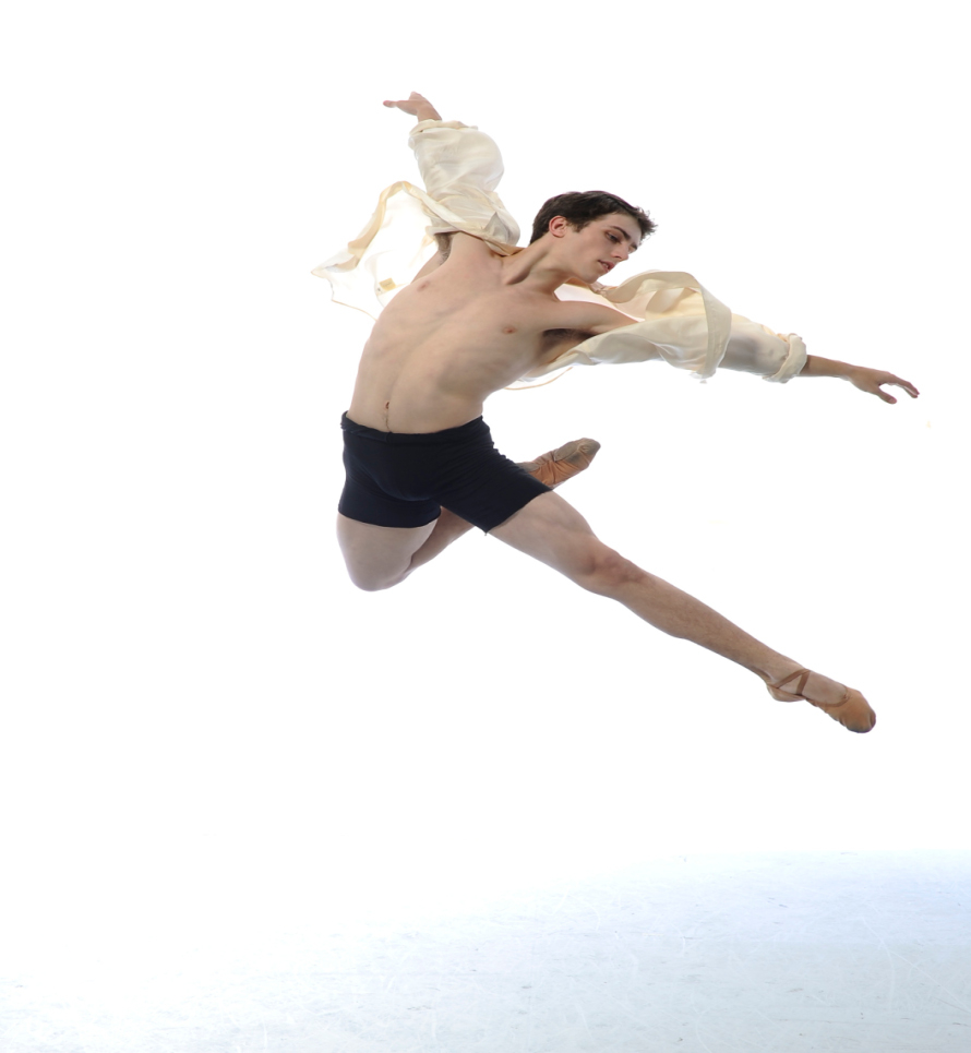 Montana Roué: They must be NUTS