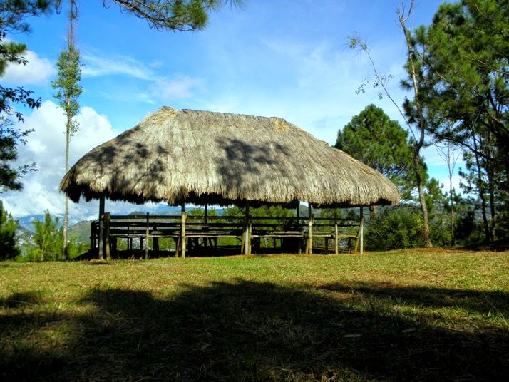Hiking Through The Longlong Communal Forest In Puguis, La Trinidad, Benguet