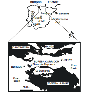 Paleoantropología hoy