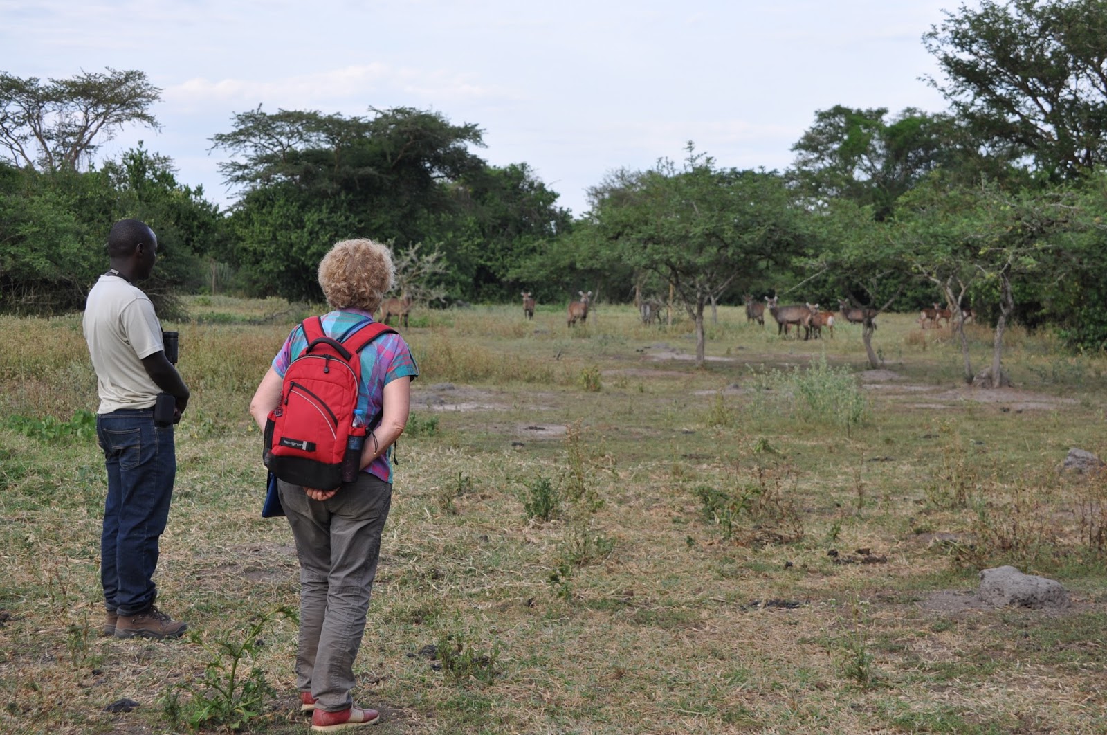 Een Hart voor Uganda: Katonga Wildlife Reserve