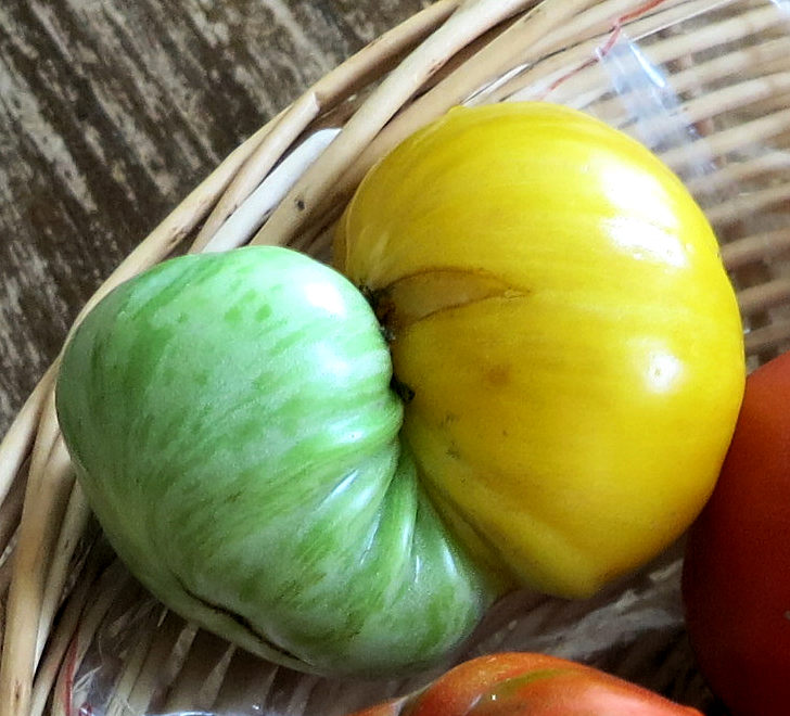 S.O.S. Grisbiche: août 2017