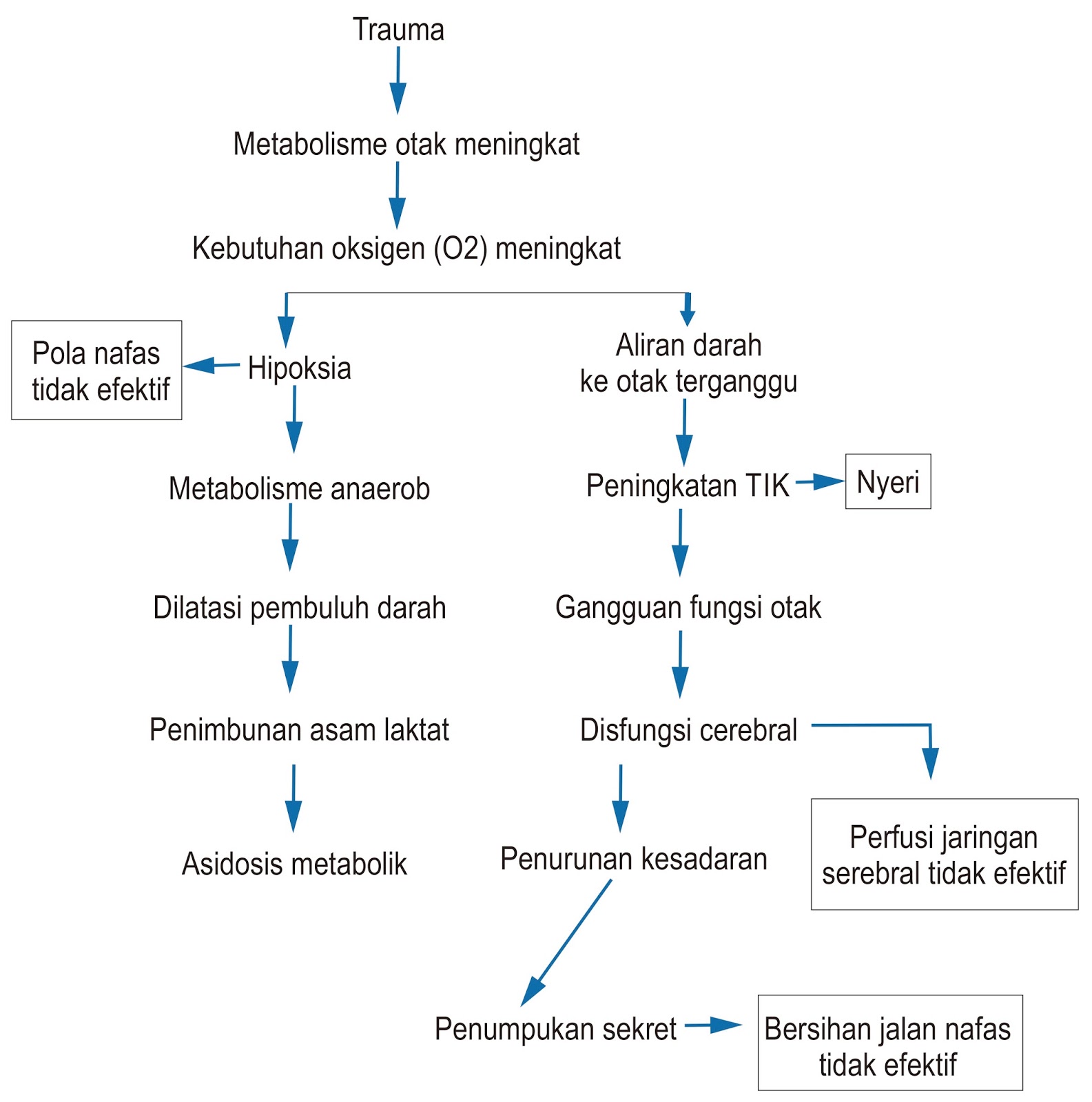 Asuhan Keperawatan (Askep) Cedera Kepala / Trauma Kepala - Share Your Information