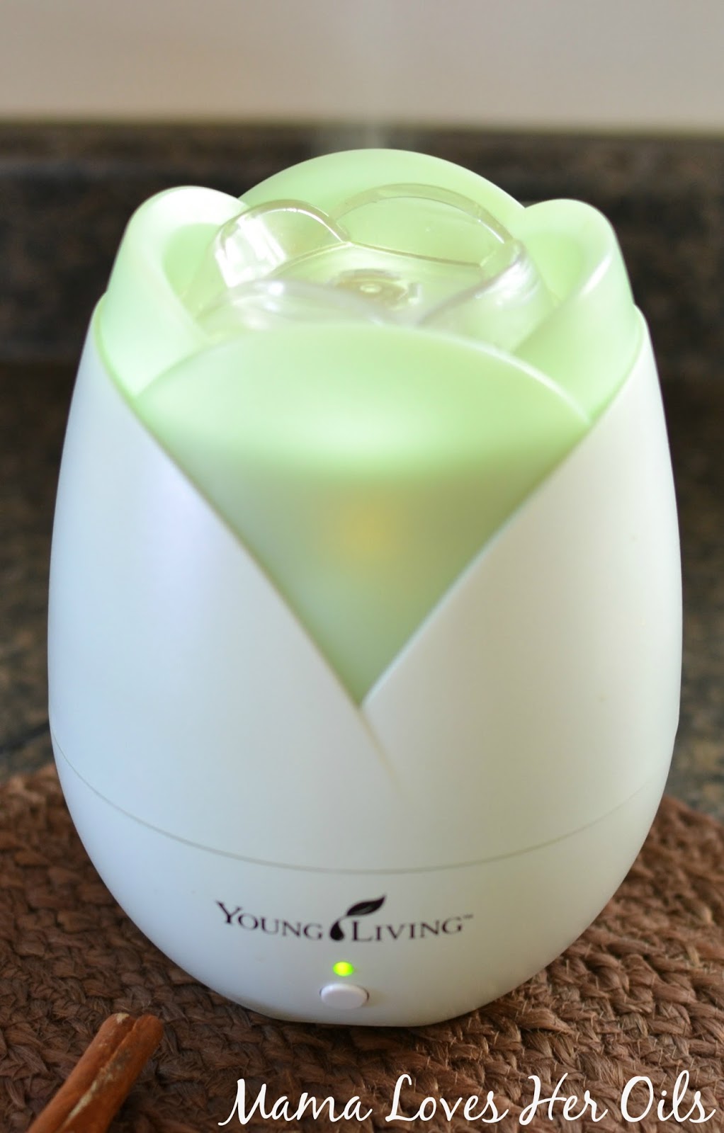 11 Fall and Winter Essential Oil Diffuser Combos You Have to Try!