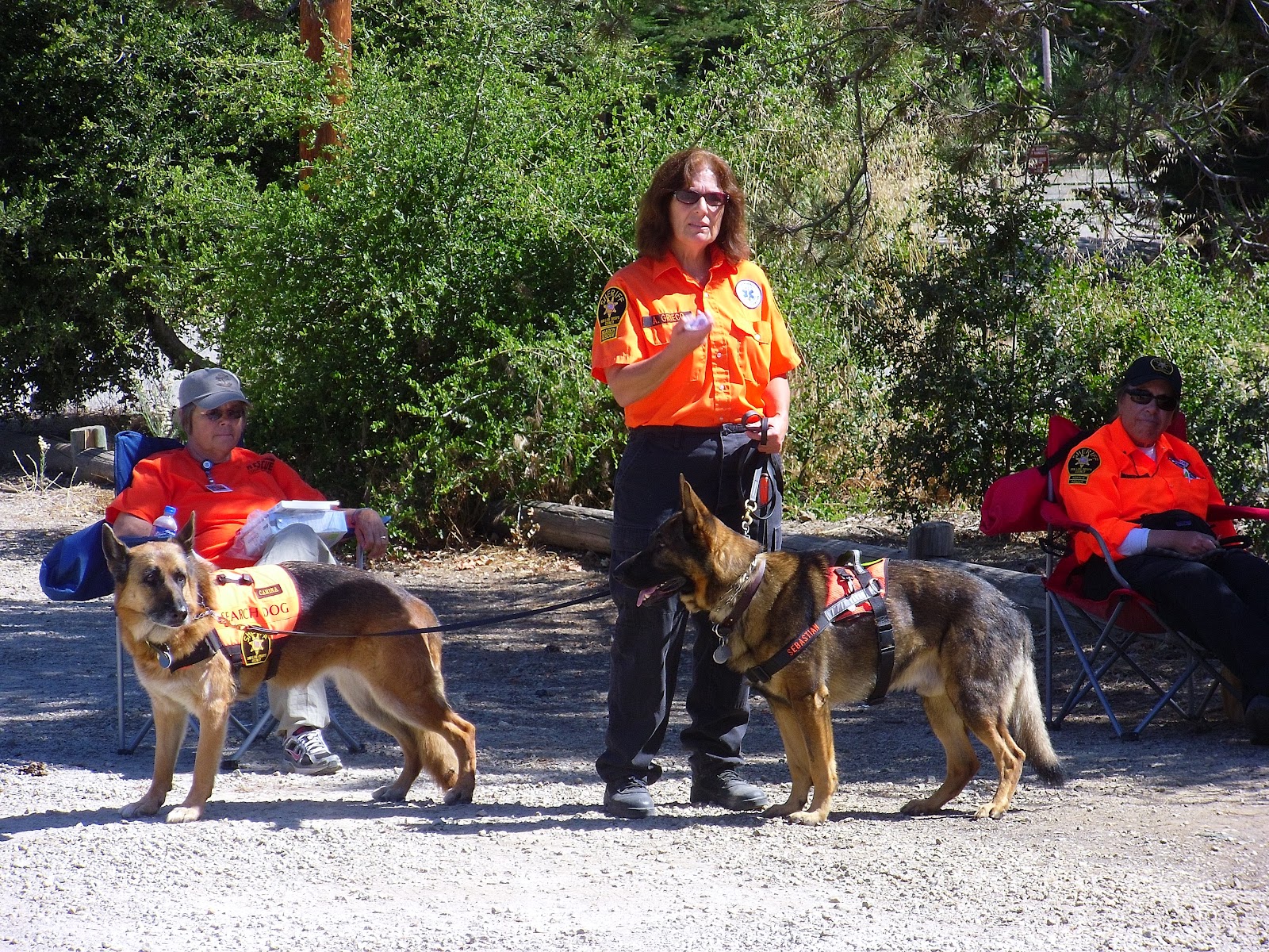 Calhouns Can(n)ons: A Saturday Outing