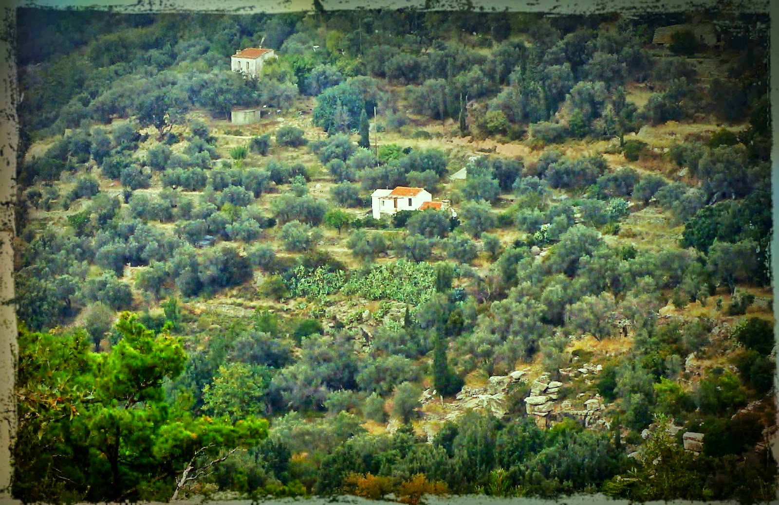 Άρωμα Ικαρίας: Φθινόπωρο στις Ράχες!