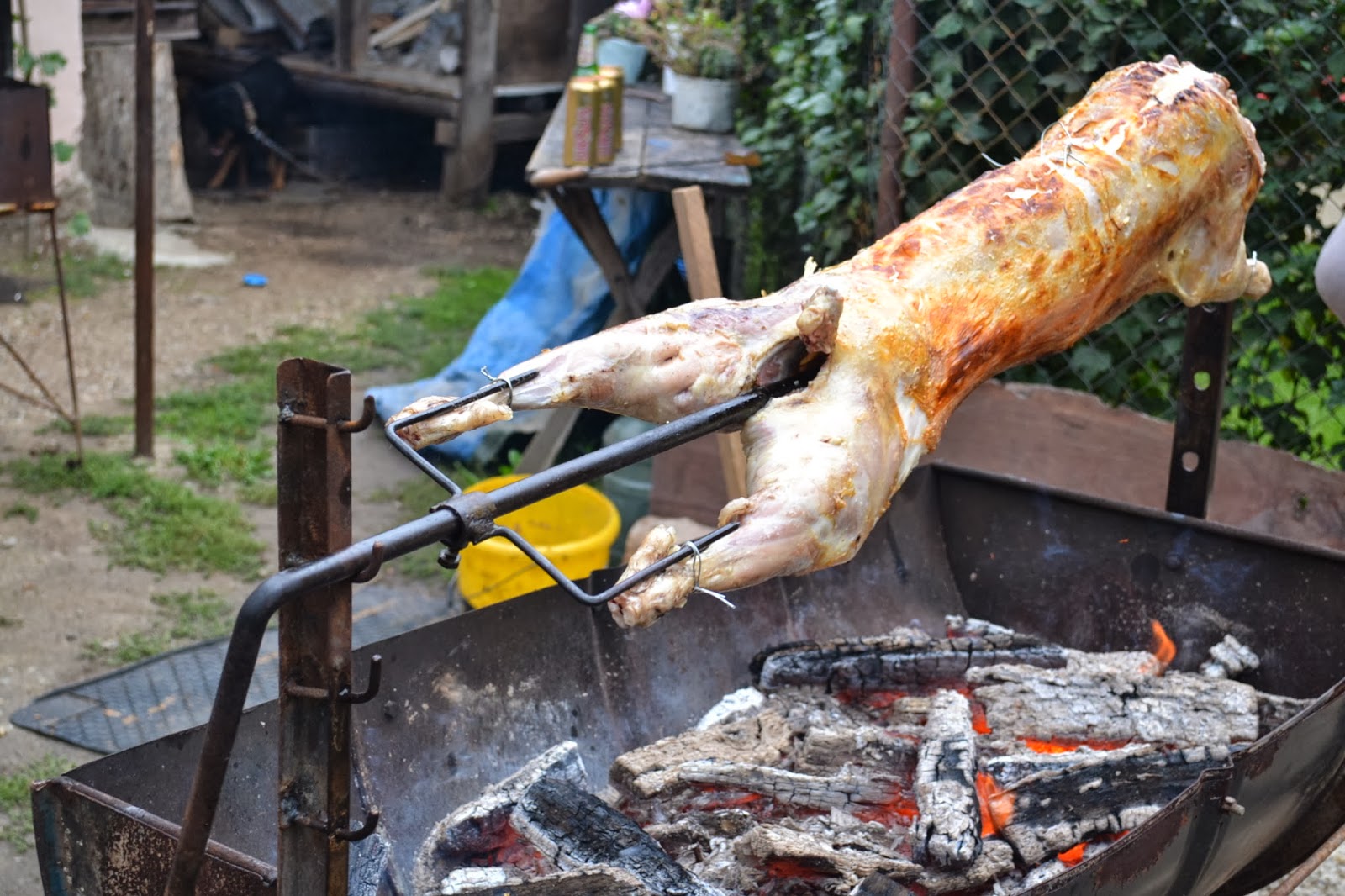 Myra's kitchen: Miel la protap 2013