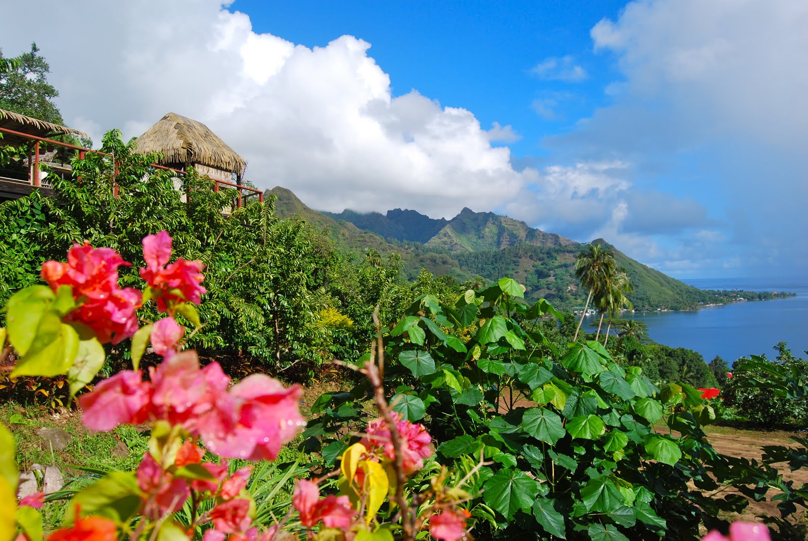 Bora Bora & Moorea | Ever After Honeymoons Blog