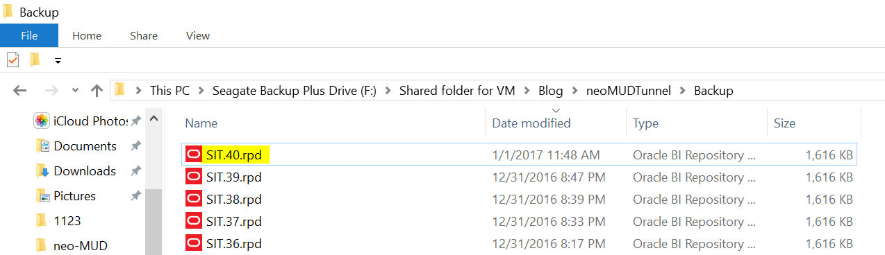 Vishal's blog: The neo-MUD tunnel for OBIEE 11g automated RPD deployment