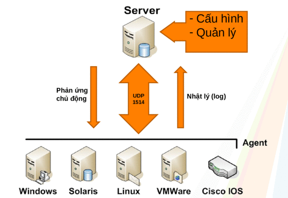 Ossec: Khái niệm và cài đặt Ossec trên Centos - THU DINH