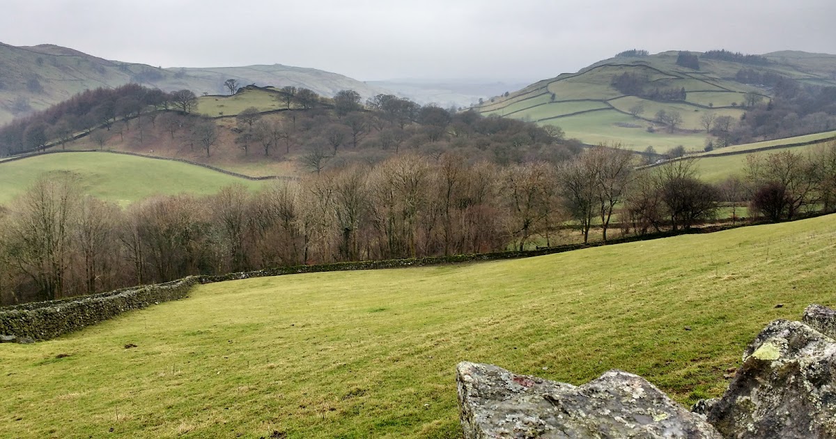Julia Hedge's Laces: A Sunday Walk From Staveley.