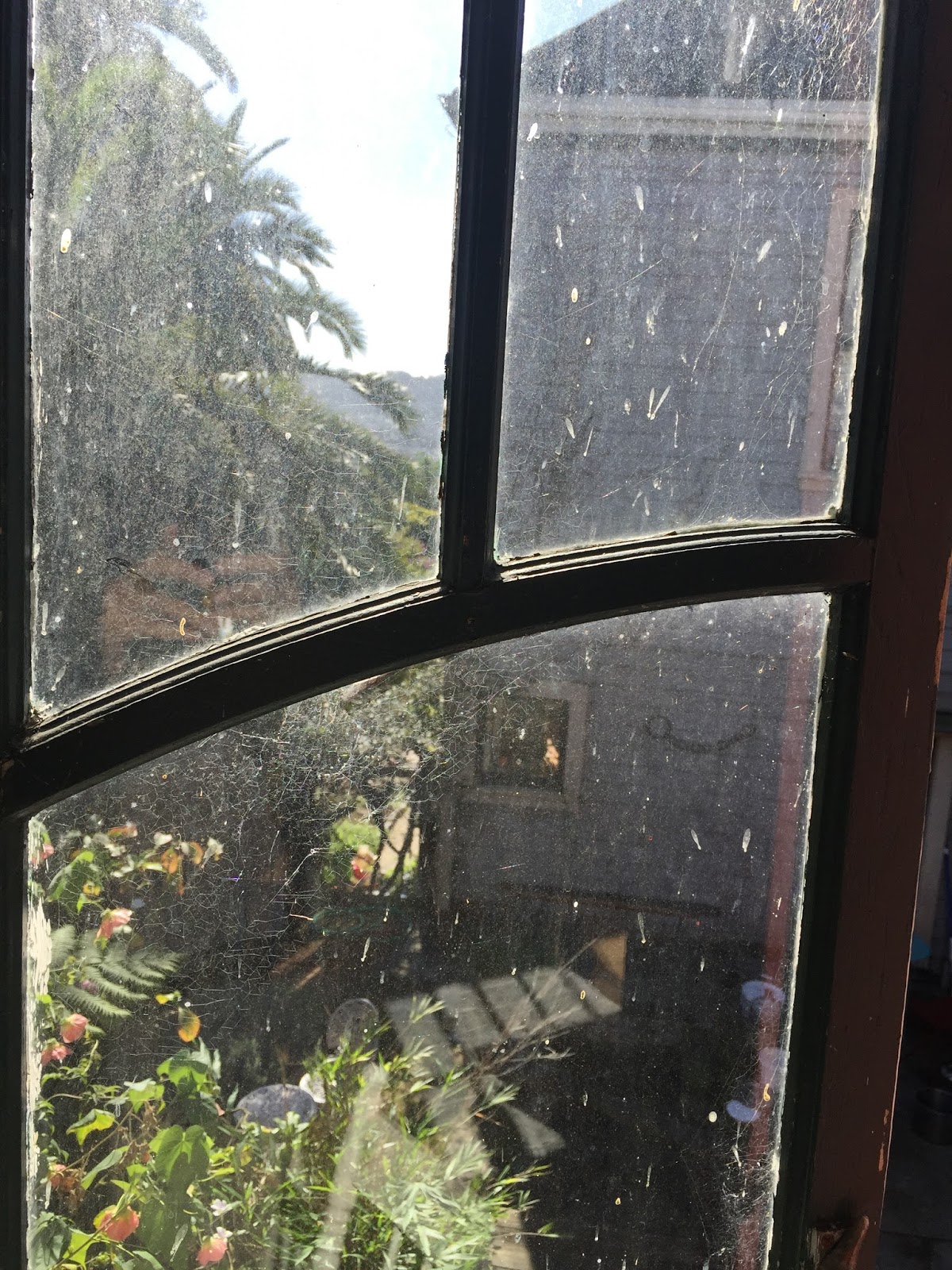 The Brew and The Bees: bee poop