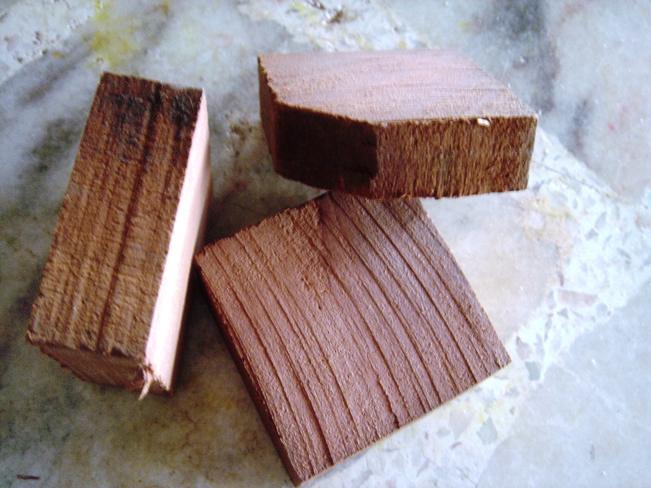 SENI RAHSIA ALAM: Kayu Tahi ... BAU TAHI ...? ! ? ? ...