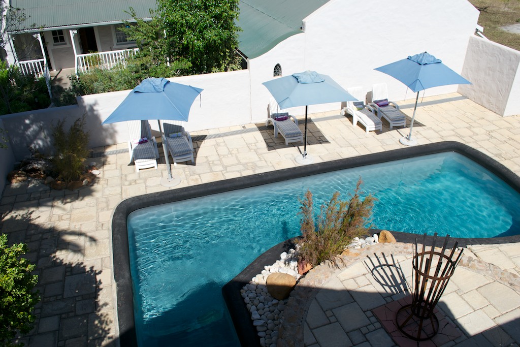 Driftwood Ramblings: A lovely morning in Greyton