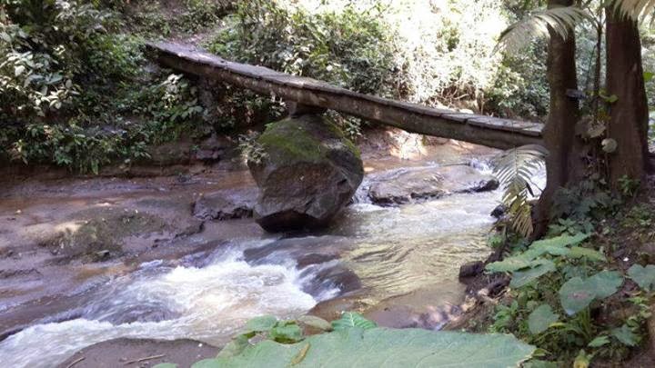 Tourism In El Salvador : Fundacion Refugio Salvaje (FURESA)