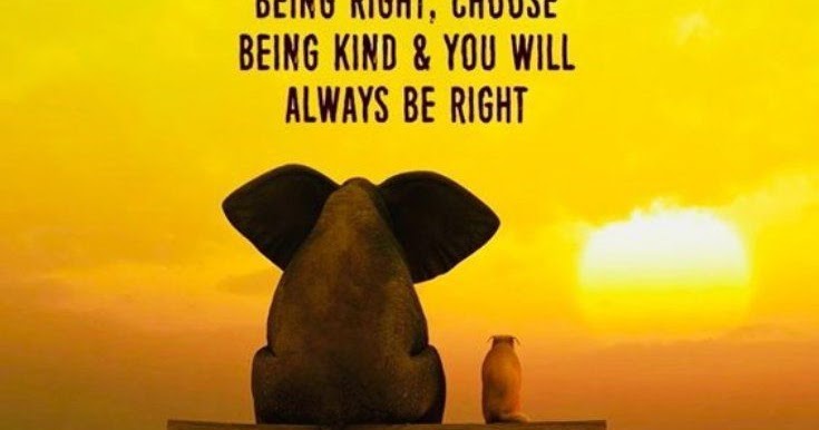 RE/MAX-Elegance Realtor: GOOD MORNING SATURDAY!