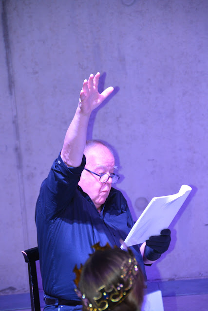 In het Web van Patrick Bernauw: Met Heer Halewijn, Anton Cogen en het ...