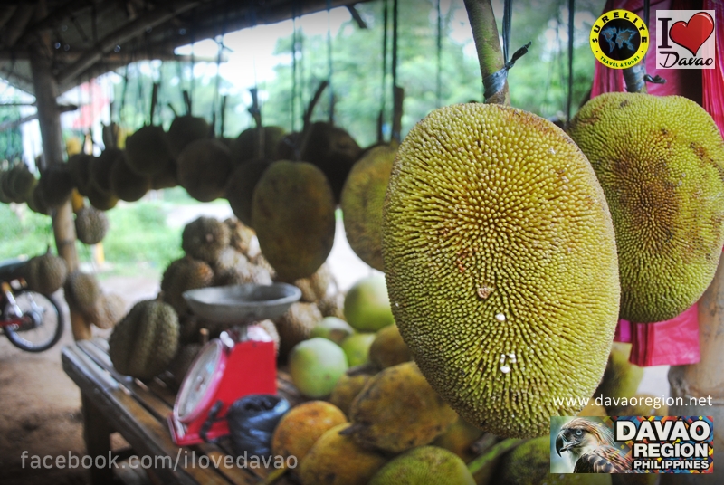 Fresh Fruits from Davao Region - Davao Region Philippines Southern Mindanao