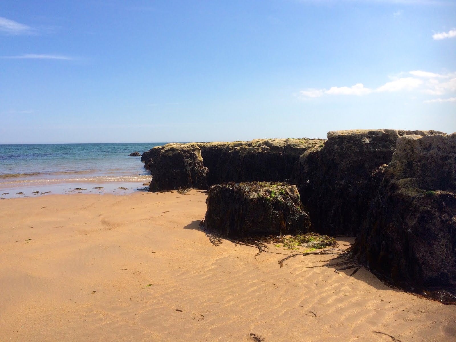 Days out in the Borders : Cocklawburn Beach