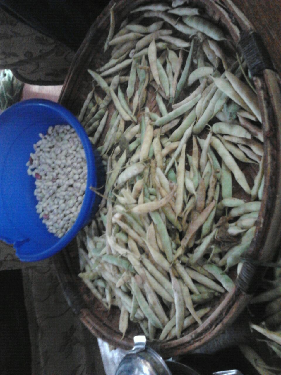 MAISHA NA MAFANIKIO: NIMEPATA ZAWADI YA MAHARAGE MABICHI TOKA MBINGA....