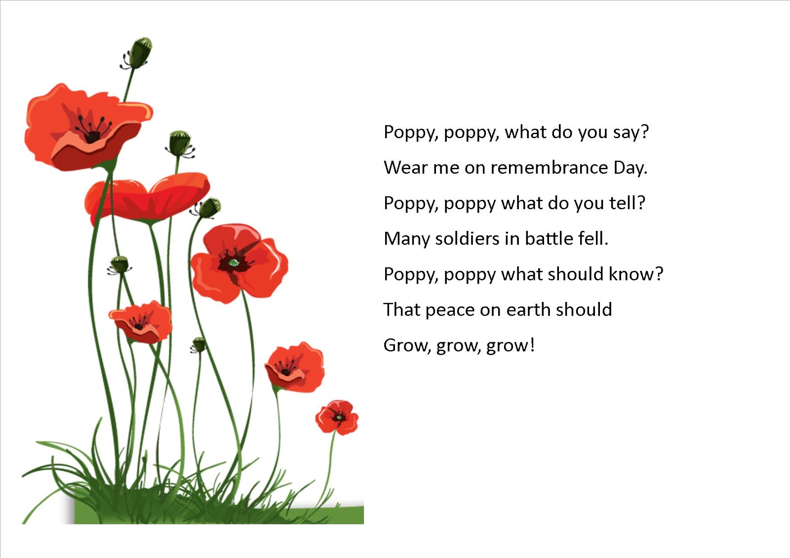 Brighter Beginnings: Remembrance Day