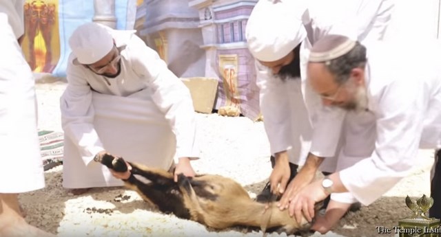 [INVOLUCION] Religiosos Judíos vuelven a hacer sacrificios de animales ...