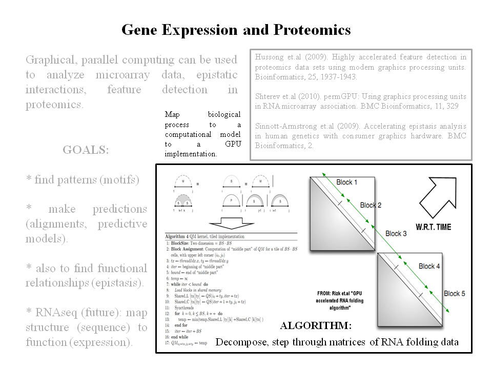 Synthetic Daisies: Scenes from a graphical, parallel biology (Presentation)
