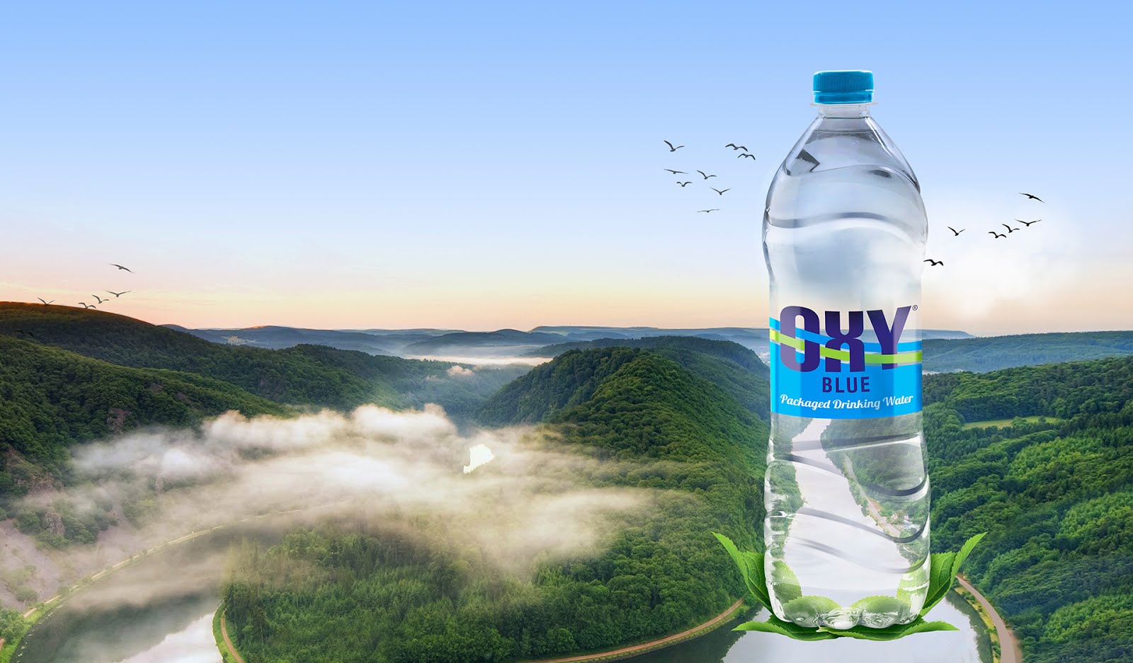 OXY BLUE - Positioning A Promising Brand