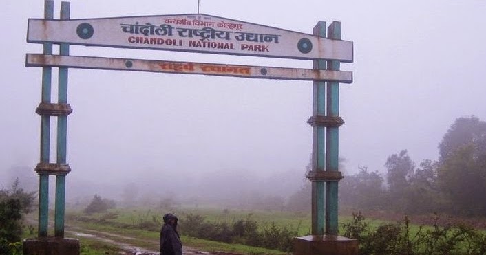 Exotic Destinations: Sahyadri Tiger Reserve /Chandoli National Park in ...
