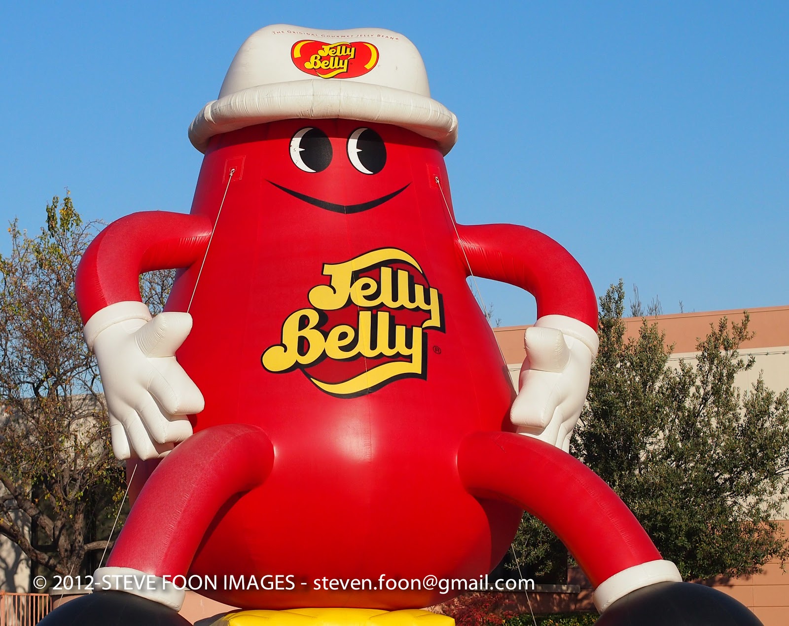 STEVE FOON IMAGES: Jelly Belly...