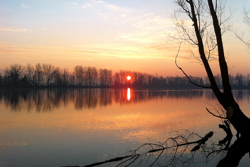 Laghetto di Basiglio: Il Laghetto di Basiglio