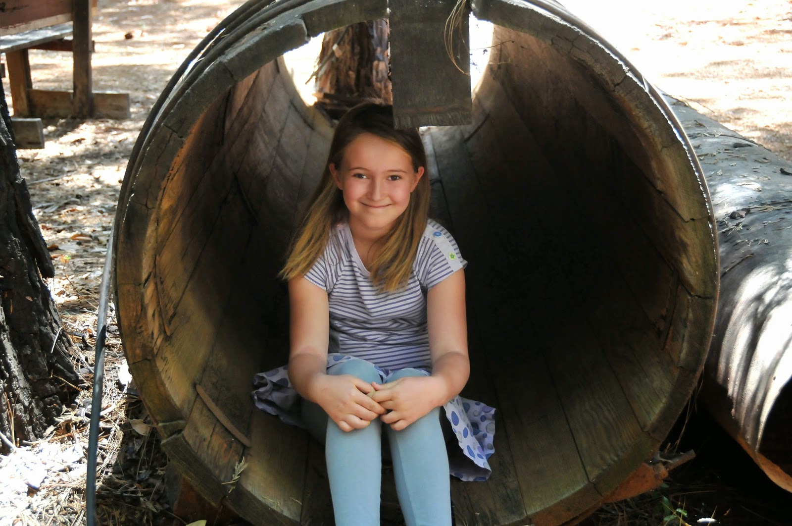 Good Times and Chaos: Yuba Feather Museum