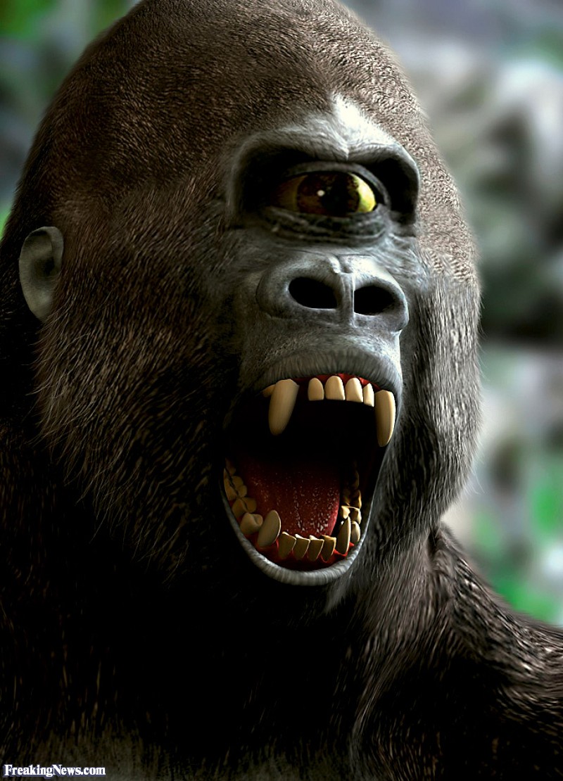 PowerOfBabel: Ya Big Ape!