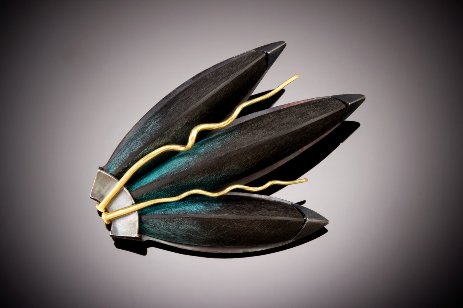 Taylor Dabney Photographer