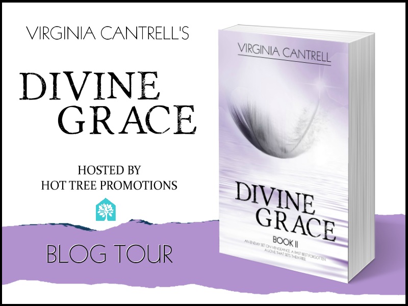Carly's Cozy Corner: Blog Tour: Divine Grace by Virginia Cantrell
