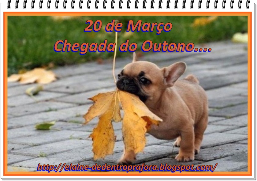 "De dentro pra fora!": O Outono chegou!.....