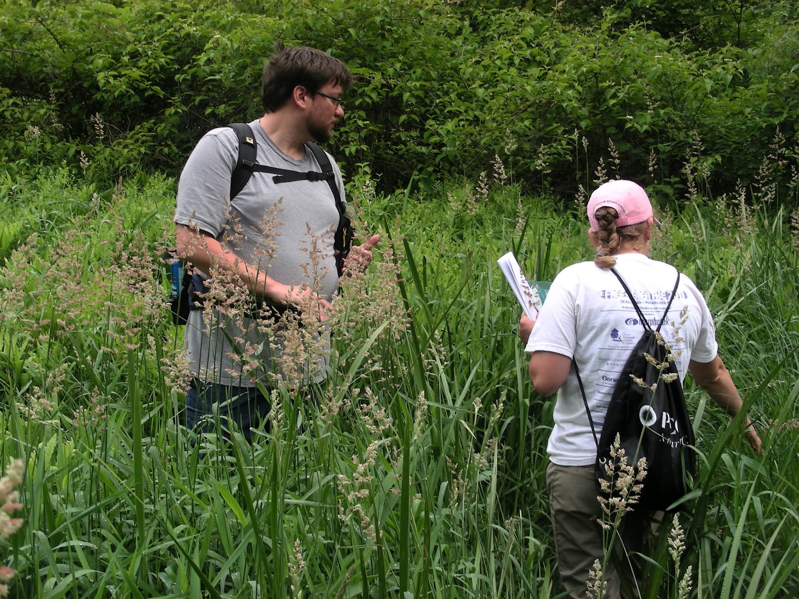 Pennypack's Natural Landscapes: Bethayres Swamp Slog