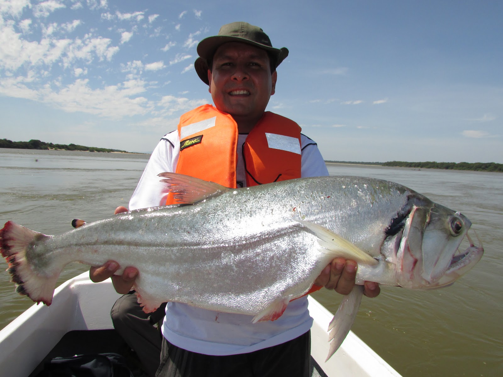 La Pesca Deportiva en Colombia Recreational Fishing: LA PESCA DE PAYARA ...