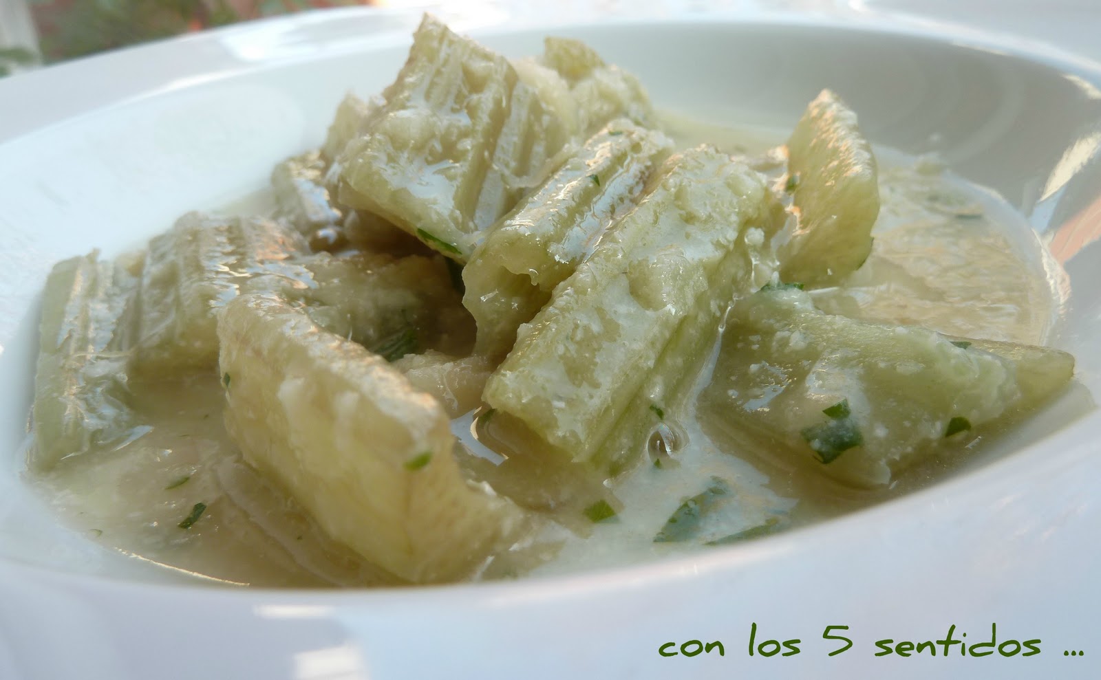 con los 5 sentidos .... amb els 5 sentits: 2012