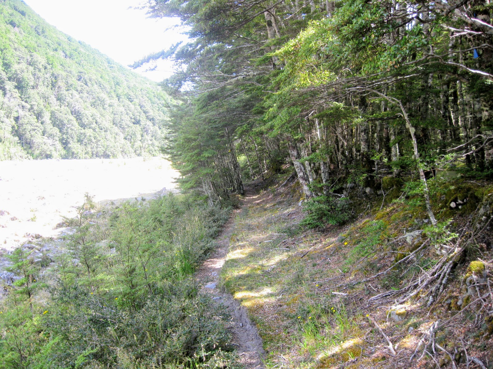 Tramping in the New Zealand backcountry: NZ Bush Adventures: Hawdon ...