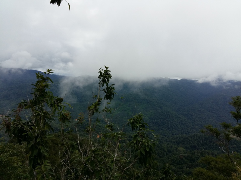 TRAVELOG: GUNUNG KEMERLONG SIK KEDAH : Cabaran Pacat...Boleh cuba KEDA ...