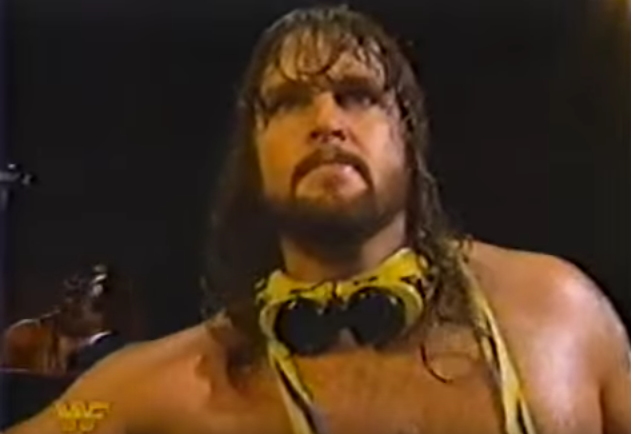 ProWresBlog: WWF Superstars 8/20/1994 - Adam Bomb & Smoking Gunns vs ...