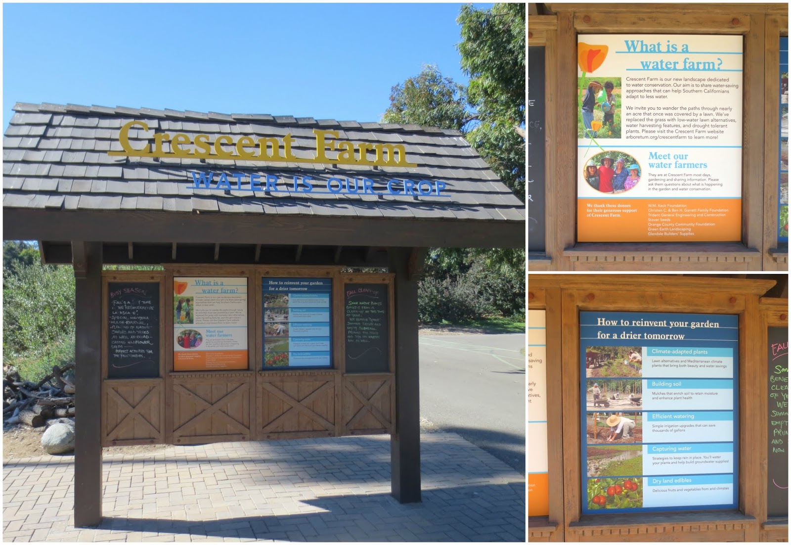 Late to the Garden Party: Visit to the Los Angeles County Arboretum