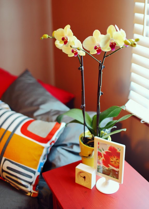 Orchids in the interior design.