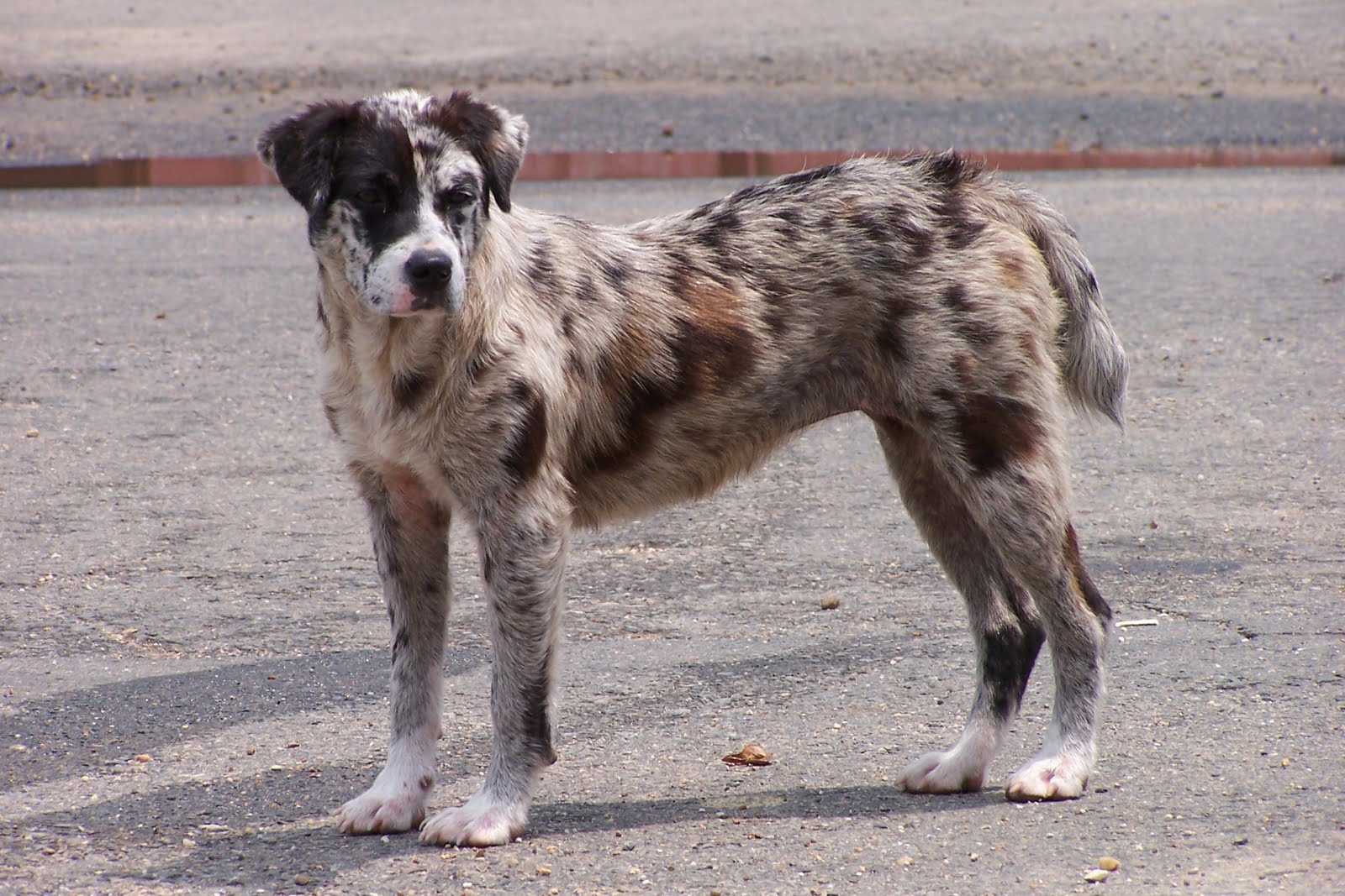 And So it Goes in Shreveport: Take a Trip to Ed Lester Farms and A ...