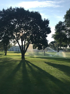 Field Club of Omaha Turf Blog